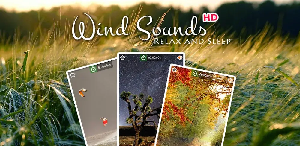 Wind Noise: Relax and Sleep v11.8 MOD APK (Premium Unlocked) Download